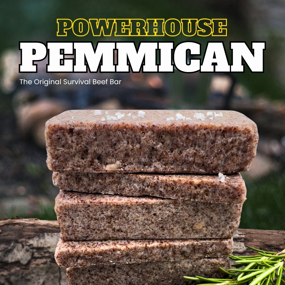 Pemmican Beef Bar 100 g – 100 % Rindfleisch | Powerhouse Survival Food